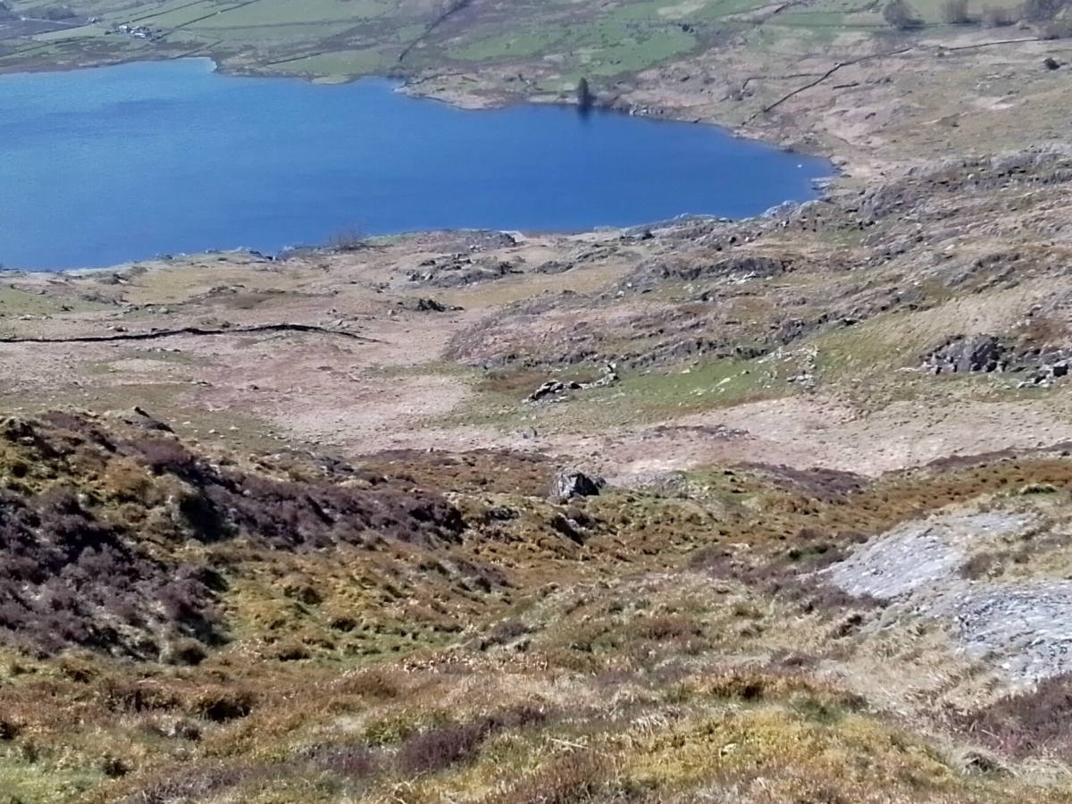 Ffridd Fawr Hut Circles, Gwynedd | Megalithic Portal