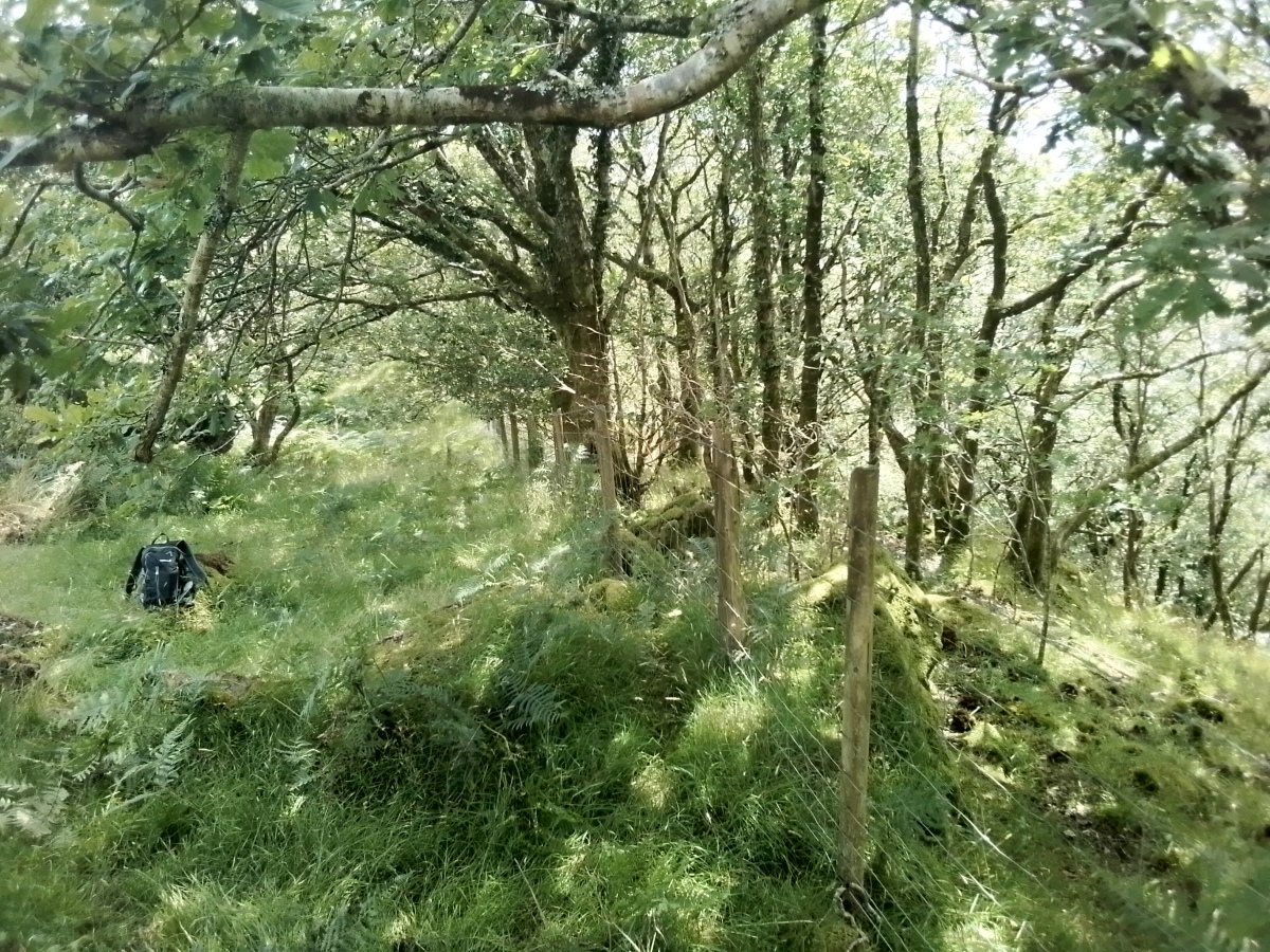 Y Glog Hut Circle Ancient Village or Settlement : The Megalithic Portal ...