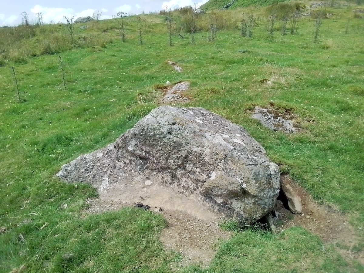 Y Fedw Erratics Natural Stone / Erratic / Other Natural Feature : The ...