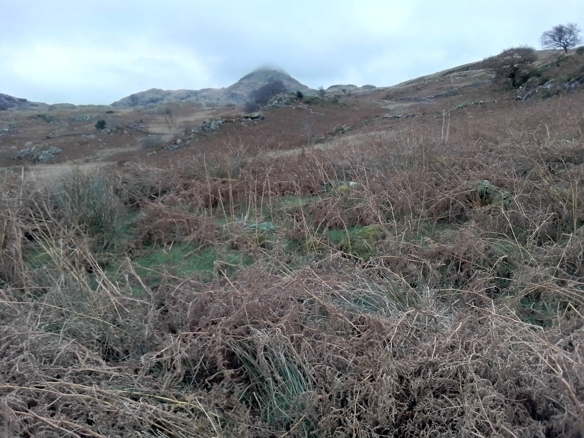 Cwm Dylif Hut Circle Settlement [Cwm Dylif Homestead] Ancient Village ...