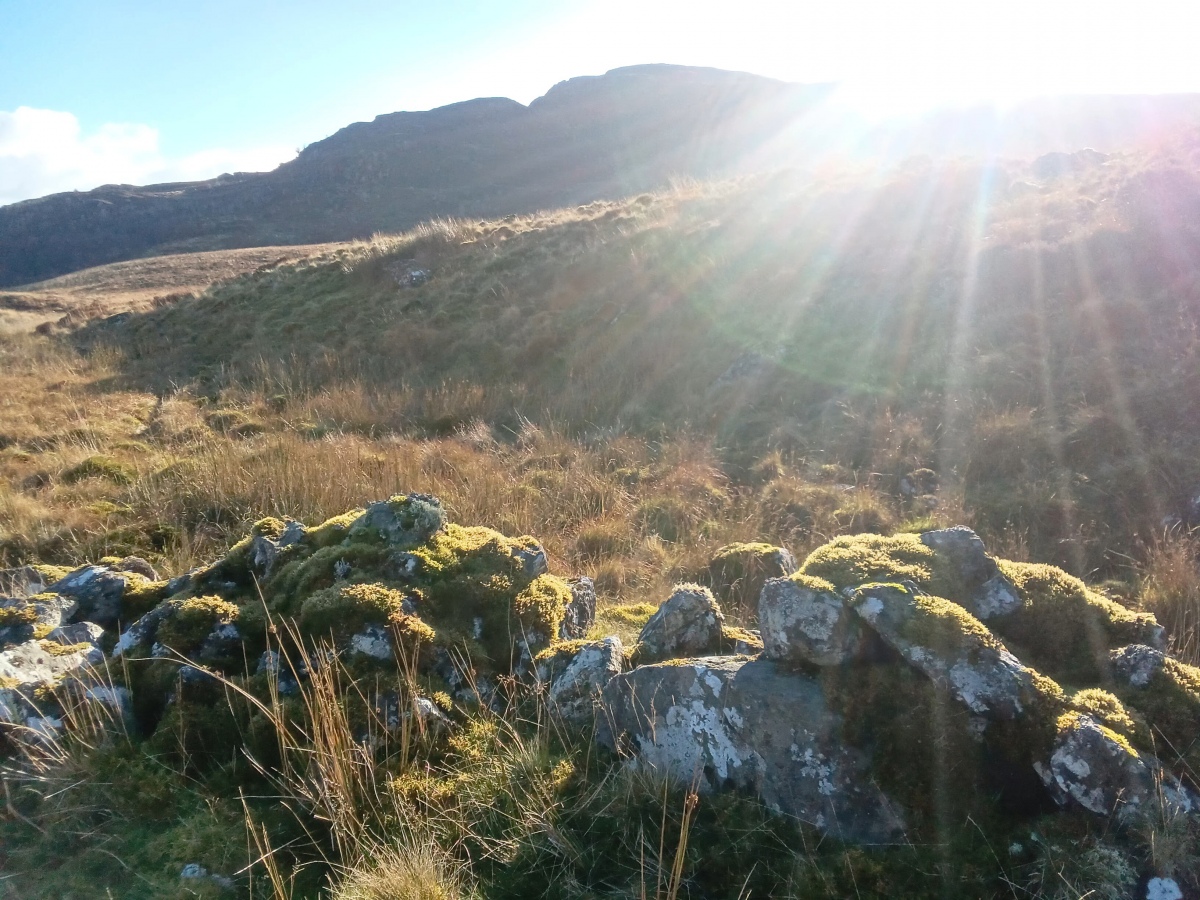 Afon Lliw Hut Circle, Gwynedd | Megalithic Portal