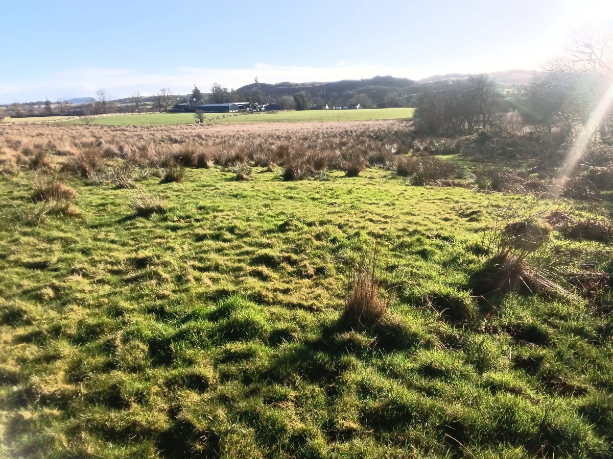 Craig y Llan Hut Circle Ancient Village or Settlement : The Megalithic ...