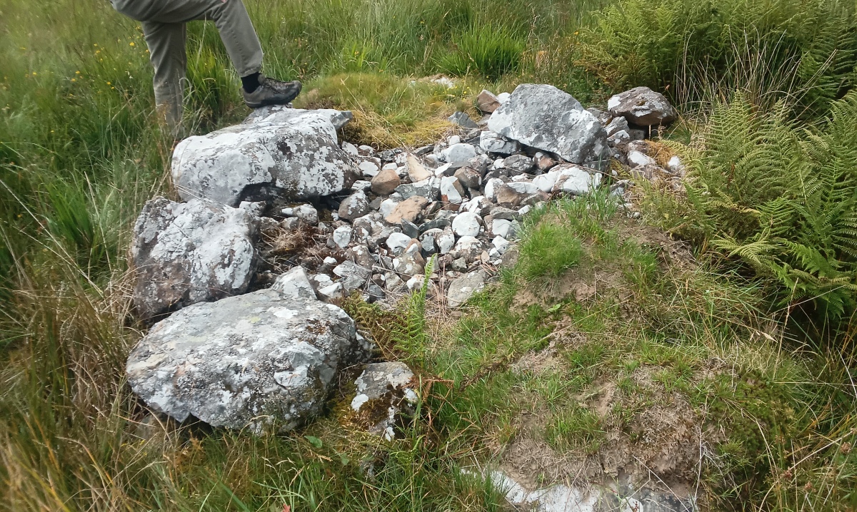 Possible Cairn at Ty'n Llwyn, Gwynedd | Megalithic Portal