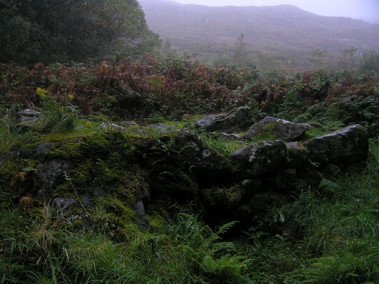 Ffynnon Saint (Rhiw) [Holy Well] Holy Well or Sacred Spring : The ...