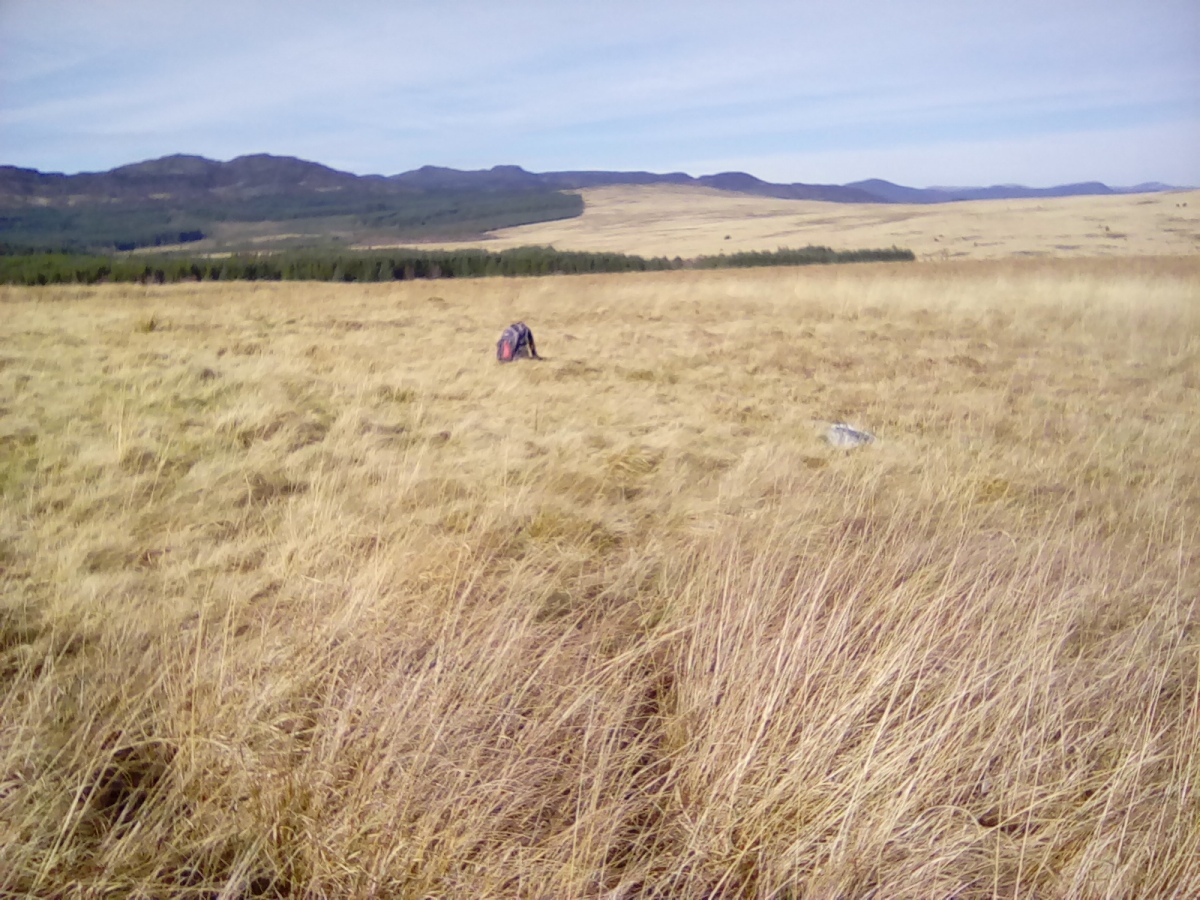 Ffridd Bryn Coch Cairn Field, Gwynedd | Megalithic Portal