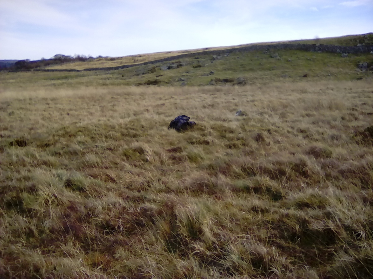 Ffridd Bryn Coch Round Cairn 2 Round Cairn : The Megalithic Portal and ...