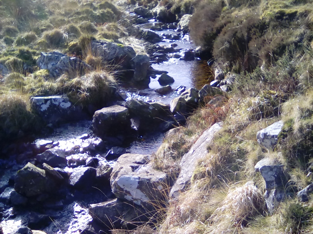 Afon Gam Rock Art, Gwynedd | Megalithic Portal