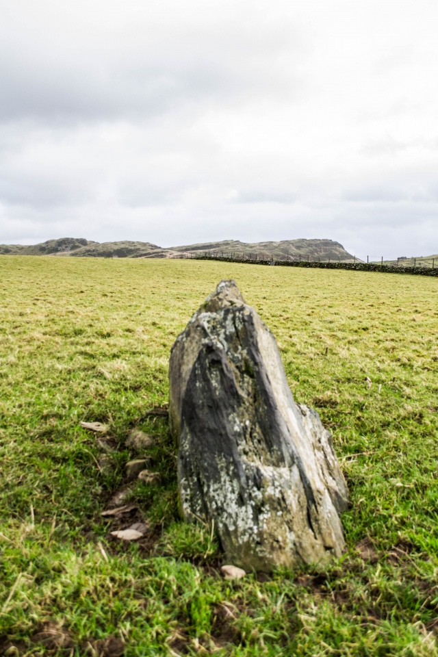 Meini Herion Stone Standing Stone (Menhir) : The Megalithic Portal and ...