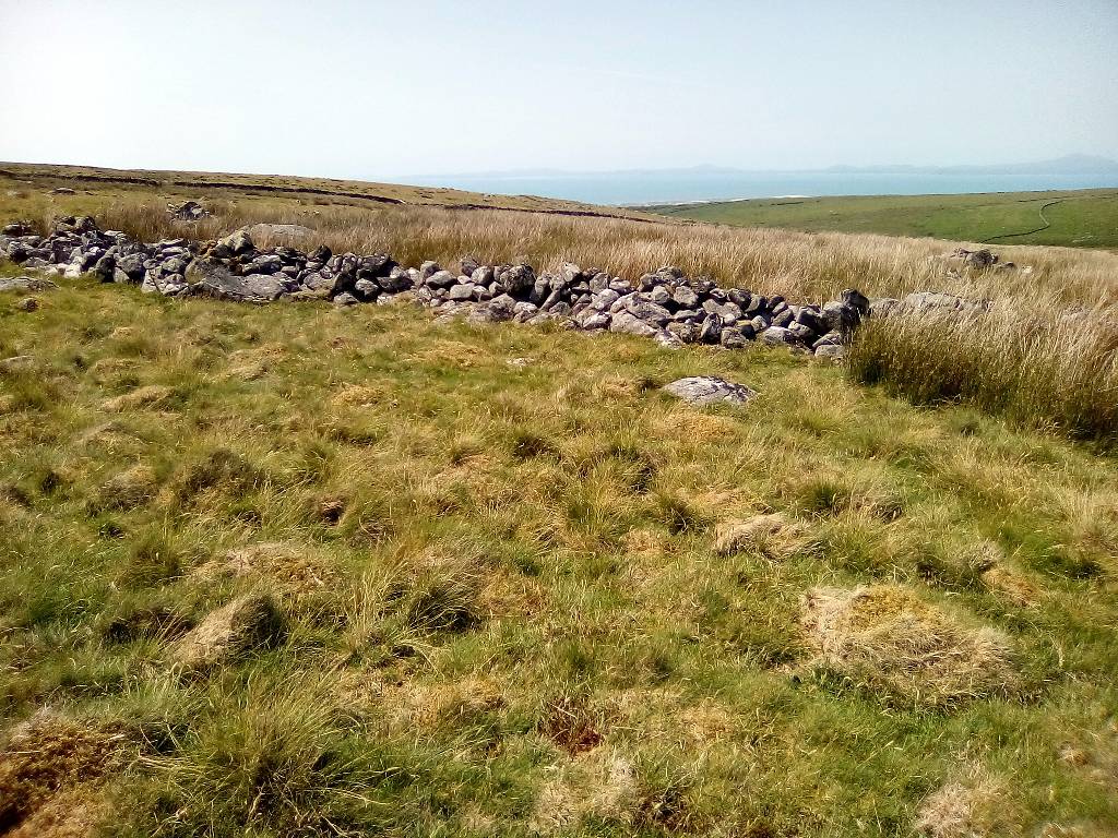 Llyn Irddyn W [Enclosure, Llyn Irddyn] Ancient Village or Settlement ...