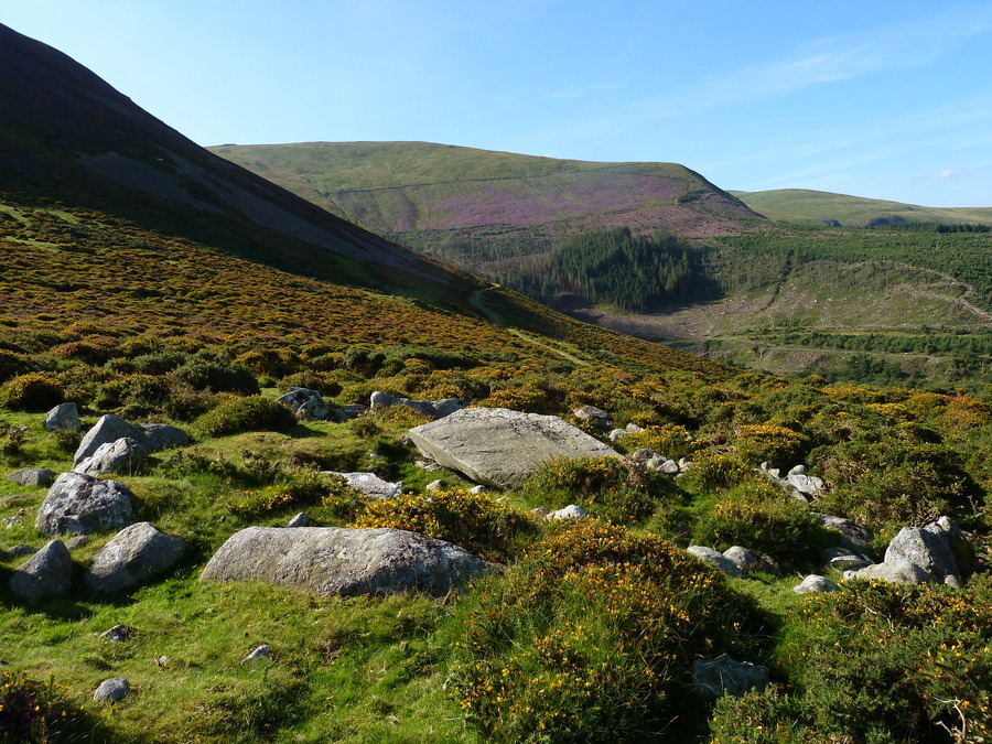 Carnedd y Saeson, Gwynedd | Megalithic Portal