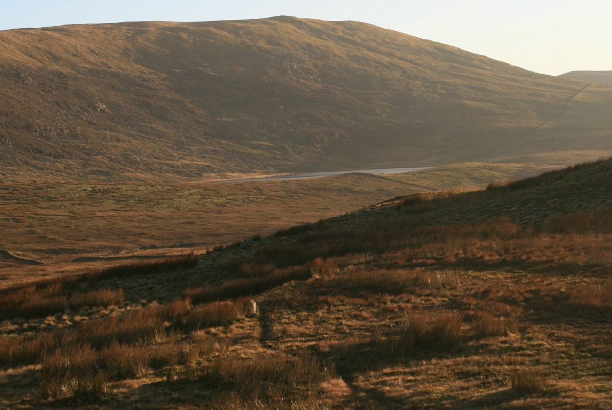 Pont Scethin B, Gwynedd | Megalithic Portal