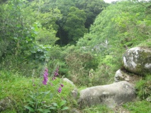 St Cybi's Well, Gwynedd | Megalithic Portal