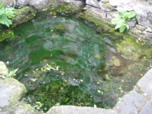 St Cybi's Well, Gwynedd | Megalithic Portal