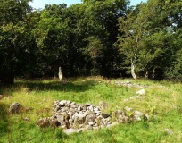 Finavon Vitrified Fort : The Megalithic Portal and Megalith Map: