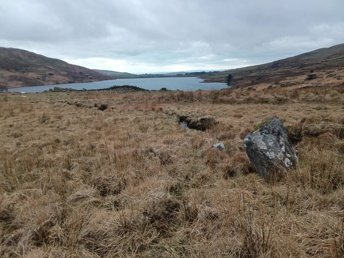 Ffridd Isaf Standing Stone 2, Gwynedd | Megalithic Portal