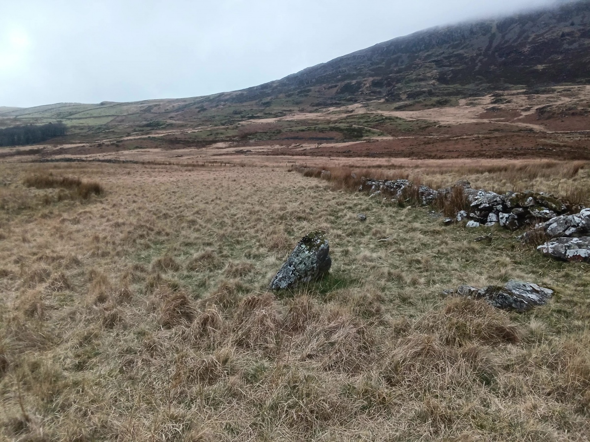 Ffridd Isaf Standing Stone 2, Gwynedd | Megalithic Portal