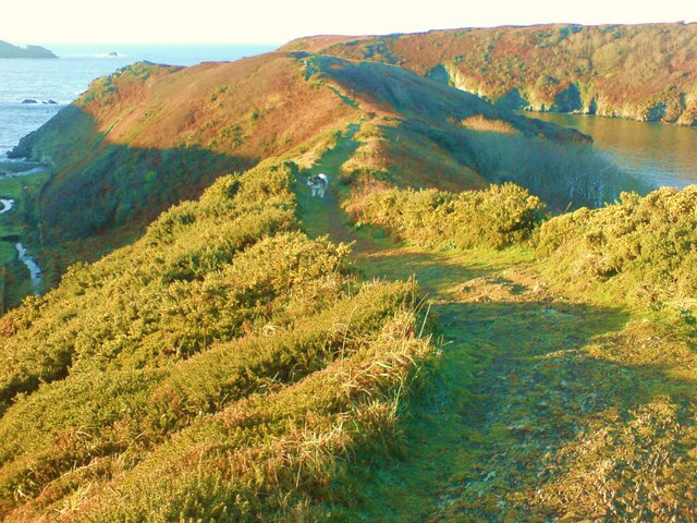 Solva Gribin Fort, Pembrokeshire | Megalithic Portal