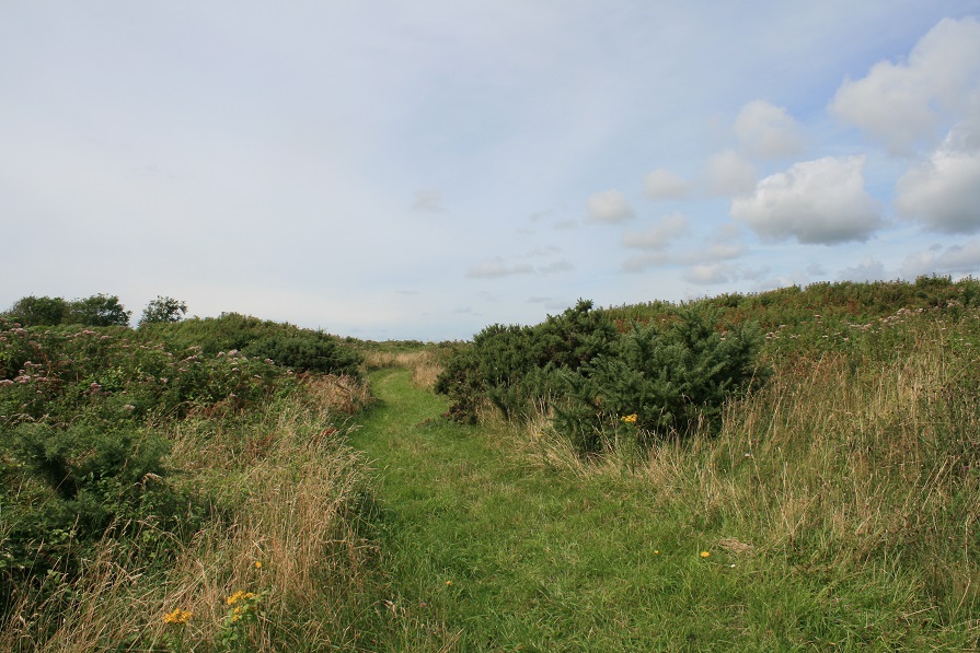 Bosherston Hillfort : The Megalithic Portal and Megalith Map: