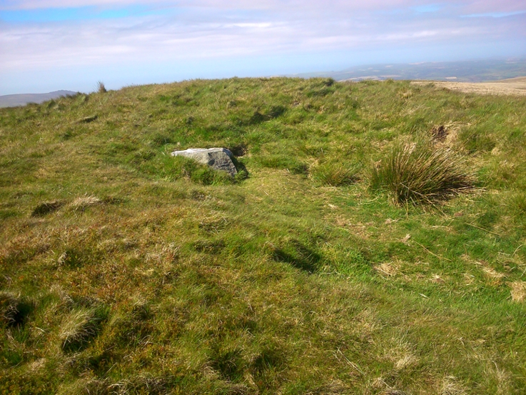 Foel Cwmcerwyn, Pembrokeshire | Megalithic Portal