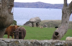 Lesser Garth Cave Cave or Rock Shelter : The Megalithic Portal and ...