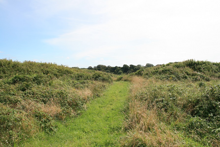 Bosherston Hillfort : The Megalithic Portal and Megalith Map: