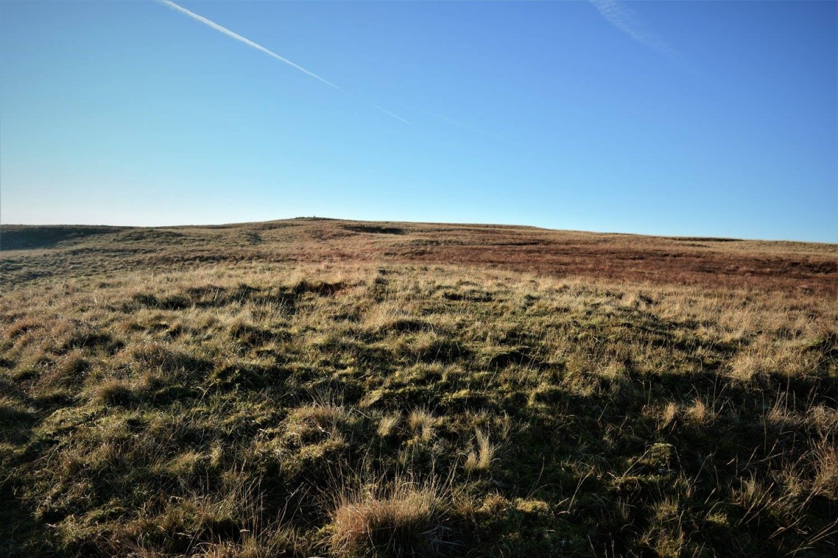 Cerrig Plwm Cairn Cairn : The Megalithic Portal and Megalith Map: