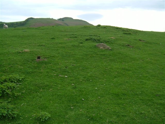 New House Long Barrow Long Barrow : The Megalithic Portal and Megalith Map:
