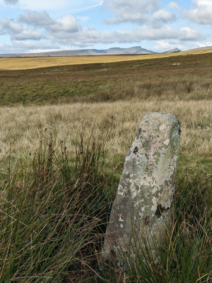 Pontsticill Inscribed Stone, Powys | Megalithic Portal