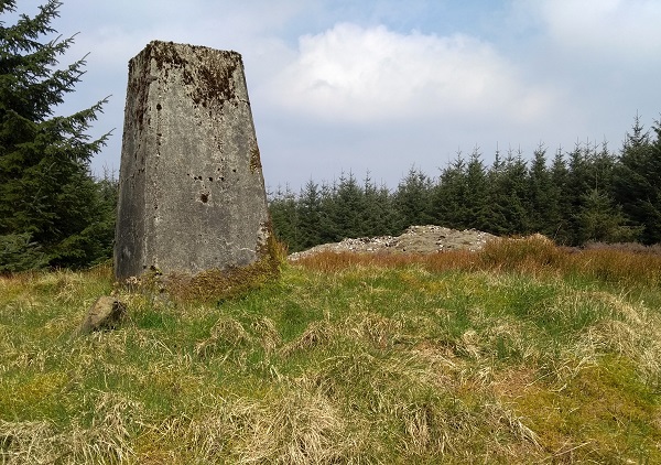 Pen y Garn Goch Chambered Tomb : The Megalithic Portal and Megalith Map: