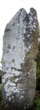 Llwyn-Y-Fedwen, Powys | Megalithic Portal
