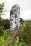 Llwyn-Y-Fedwen, Powys | Megalithic Portal